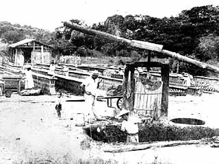 HISTÓRIA DE COTIA – EP.6 BREVE HISTÓRIA DE CAUCAIA DO ALTO – Cotia Todo Dia