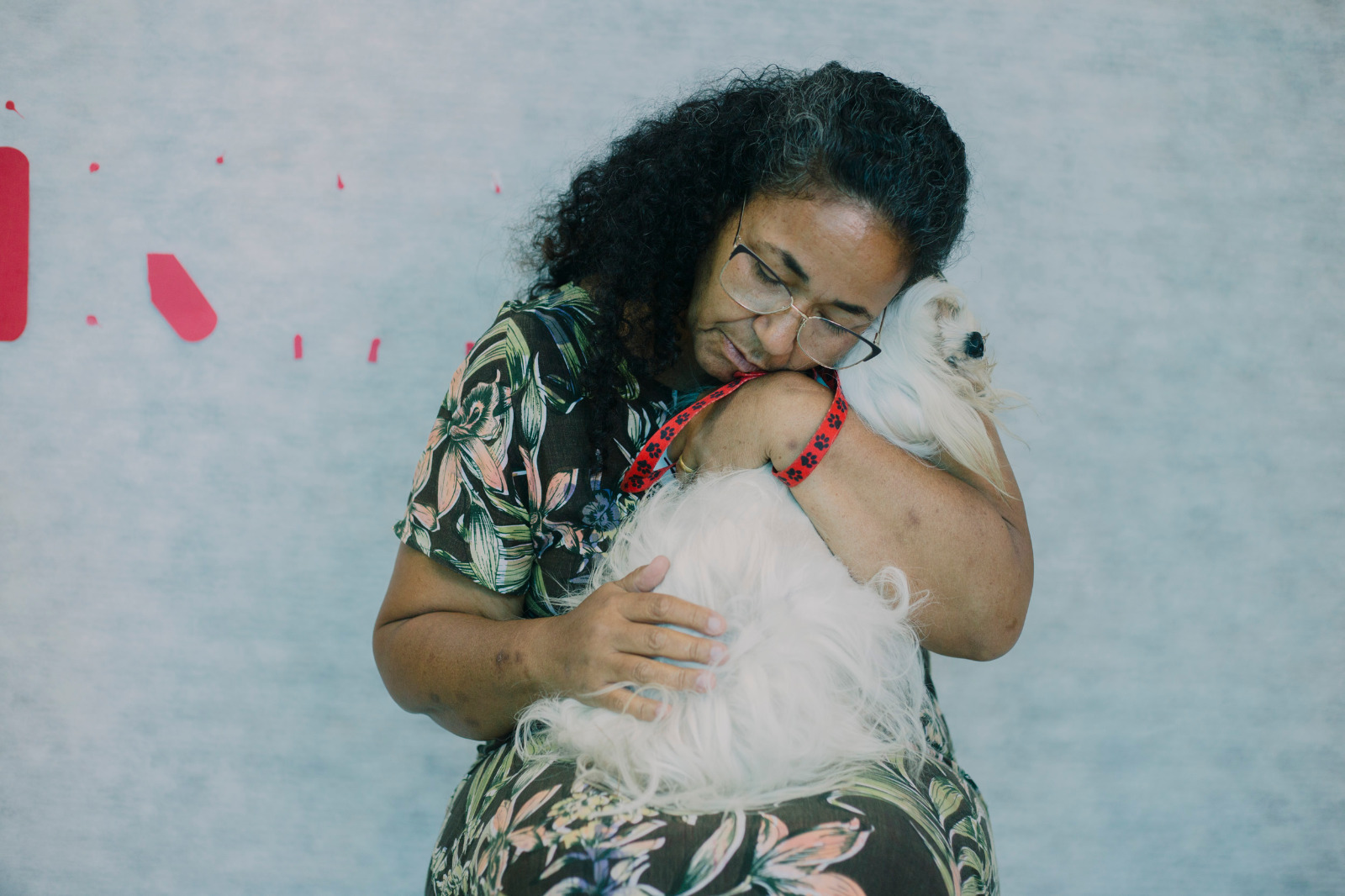 INSCRIÇÕES ABERTAS PARA CASTRAÇÃO DE CÃES E GATOS – Cotia Todo Dia INSCRIÇÕES ABERTAS PARA CASTRAÇÃO DE CÃES E GATOS – Cotia Todo Dia